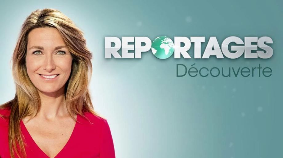 Reportages Découverte En Streaming Direct Et Replay Sur Canal Mycanal